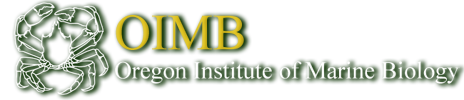 Oregon Institute of Marine Biology REU: Exploration of Marine Biology ...