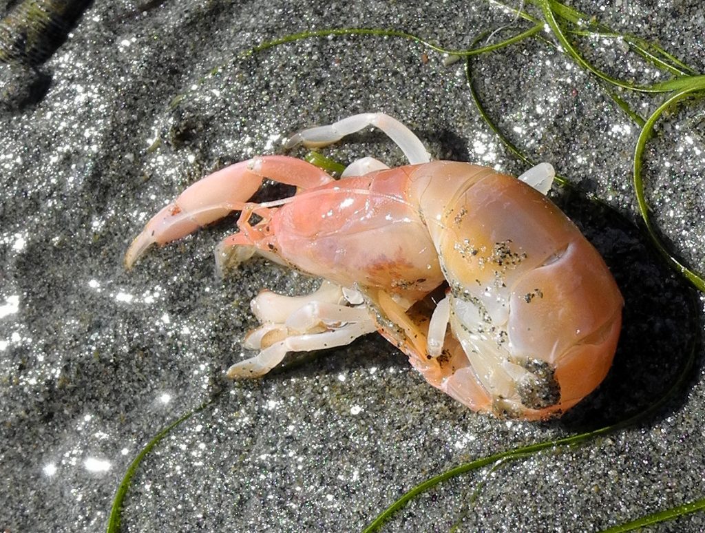 Painting a Picture: Student Spotlight with Melina Wettstein