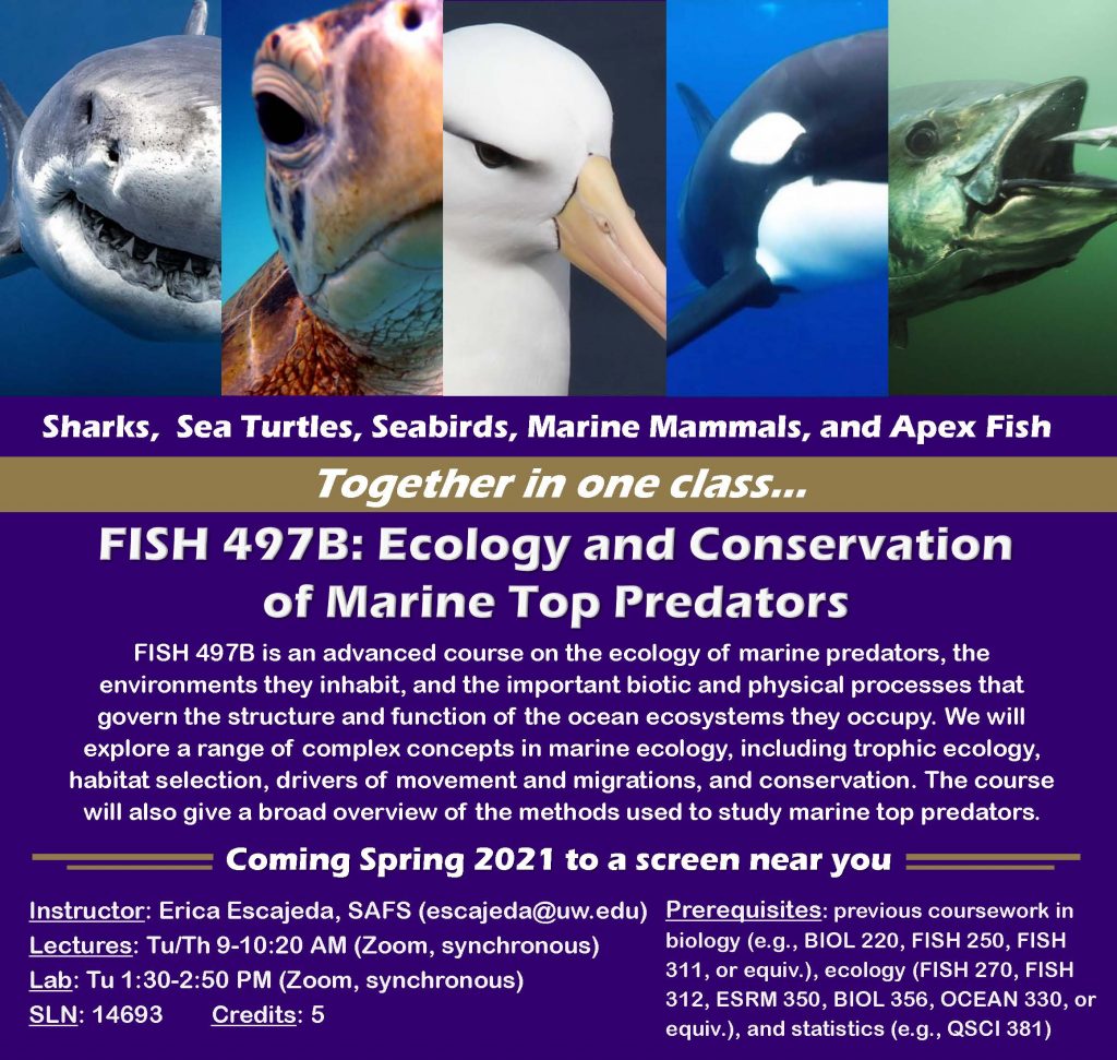 FISH 497B Special Topics: Ecology and Conservation of Marine Top Predators