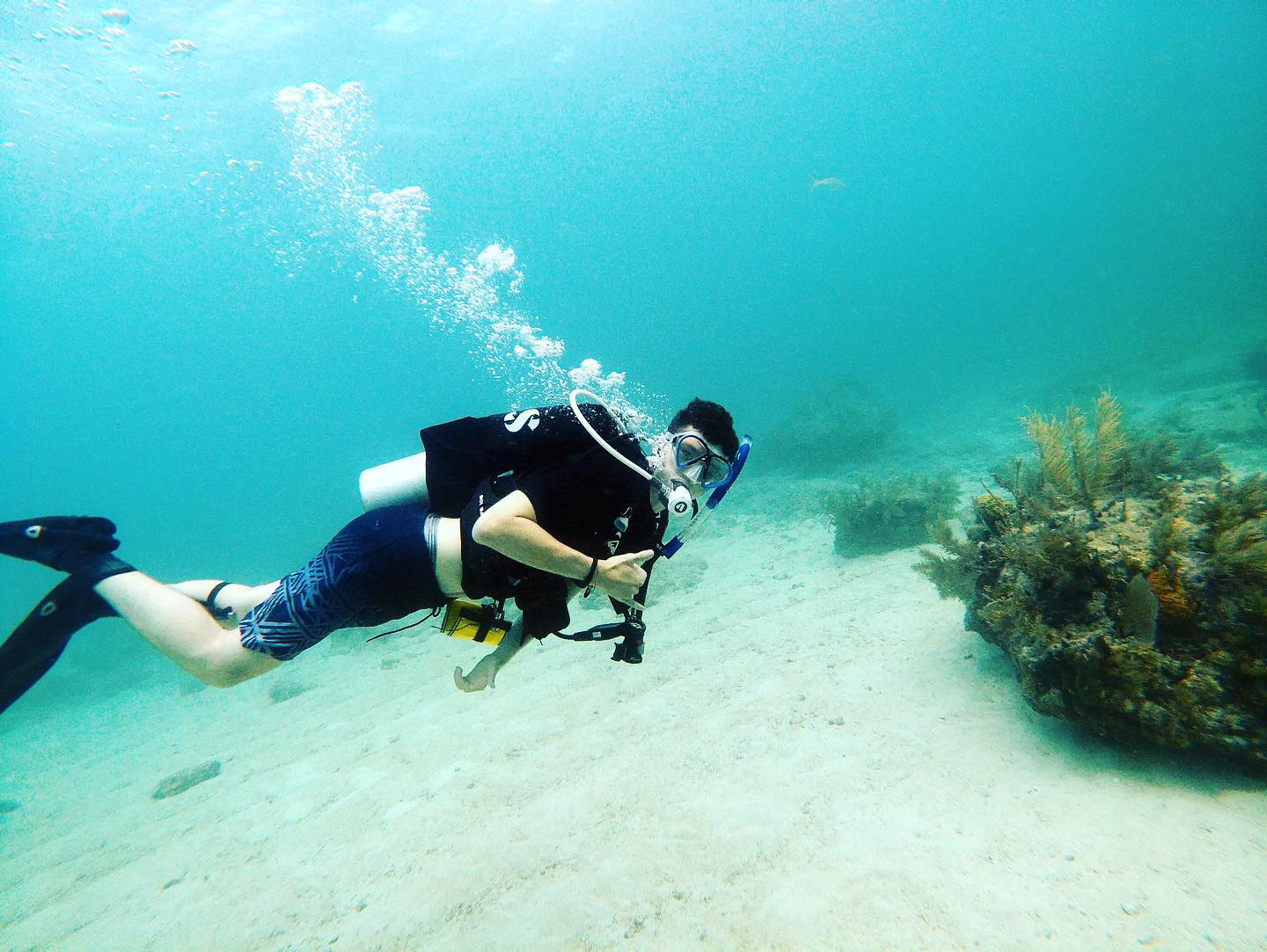 Class of 2022 | Marine Biology