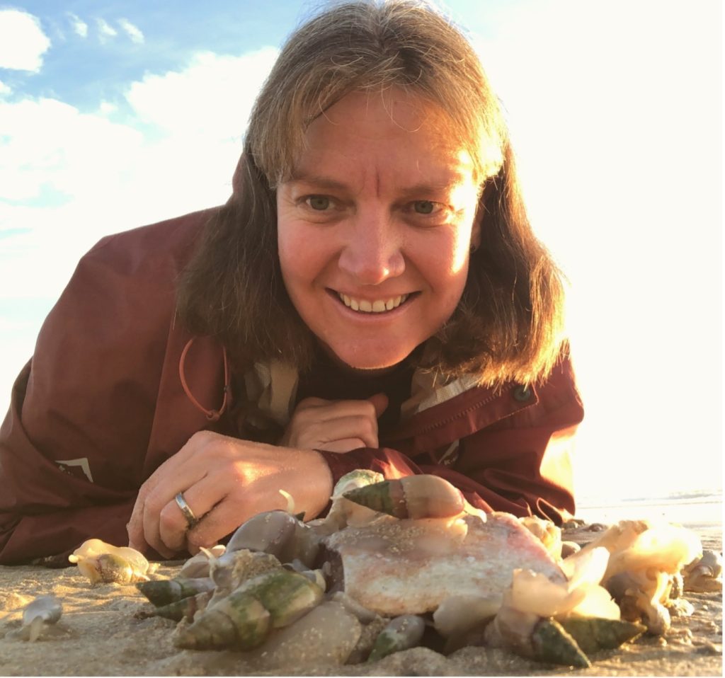 Sandy beaches and sea turtles: an introduction to Ronel Nel