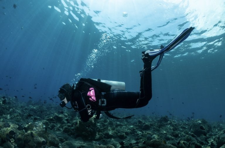 Scientific Diving | Marine Biology
