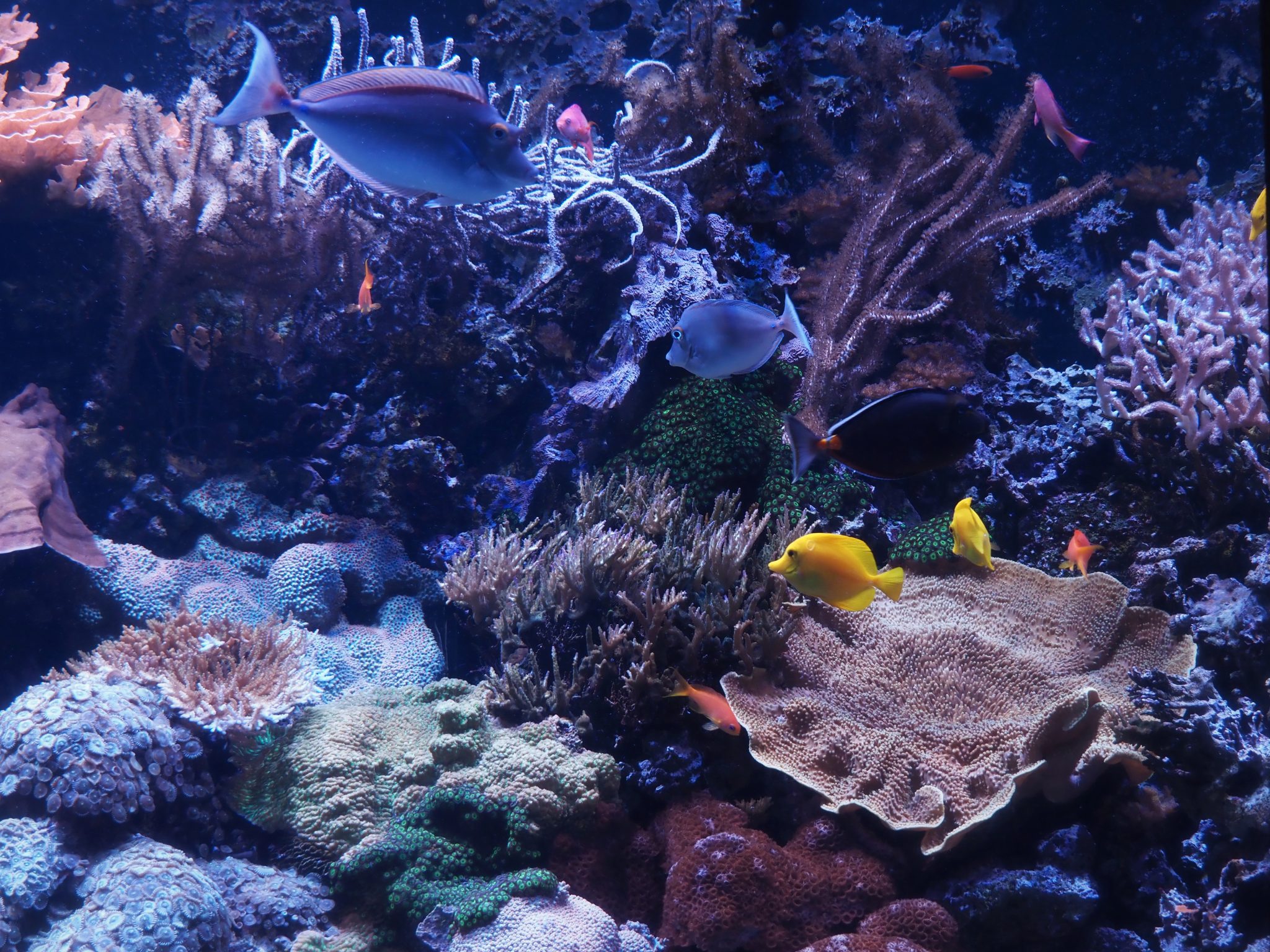 Opportunities for K-12 Students | Marine Biology