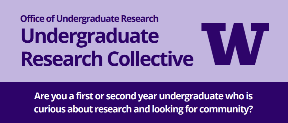 Undergraduate Research Collective: new interdisciplinary research program